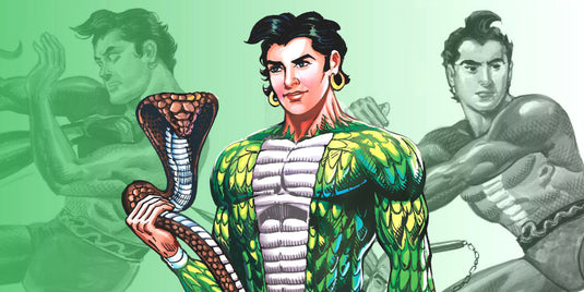 NAGRAJ | Raj Comics | Buy Nagraj Comics